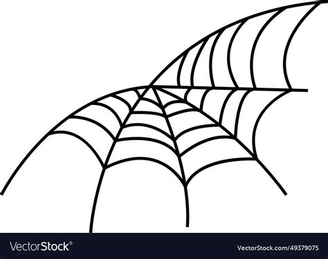 Spider web on transparent background spiderweb Vector Image