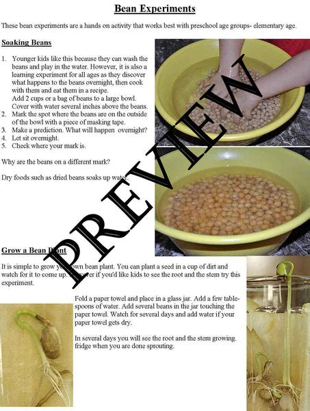 Image result for Cooking Exsperiment