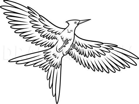 Image result for Mockingjay Bird Drawing