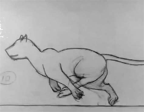 Image result for Hand Drawn Animation