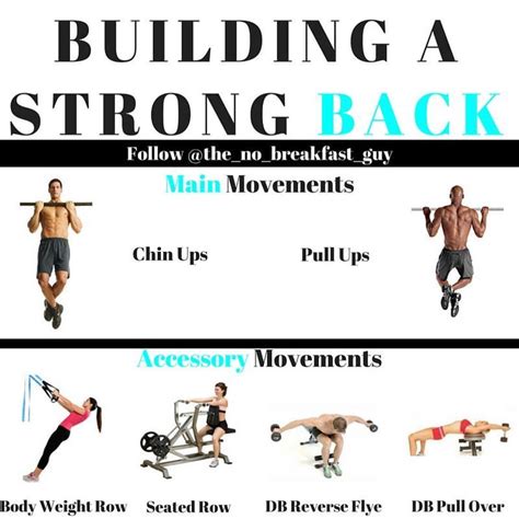 Image result for Strong Back Muscles