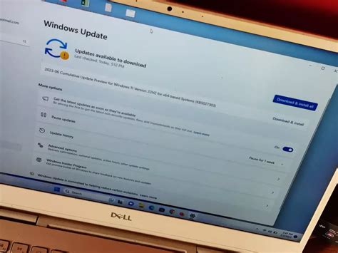 Image result for Check for Updates and Install