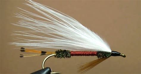 Image result for Royal Coachman Fly Pattern