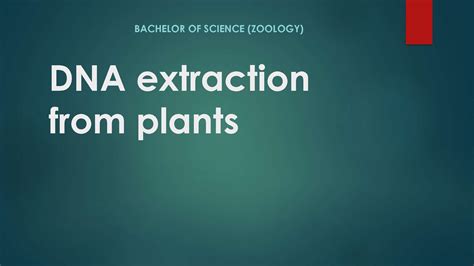 Image result for DNA Extraction Process On Plants
