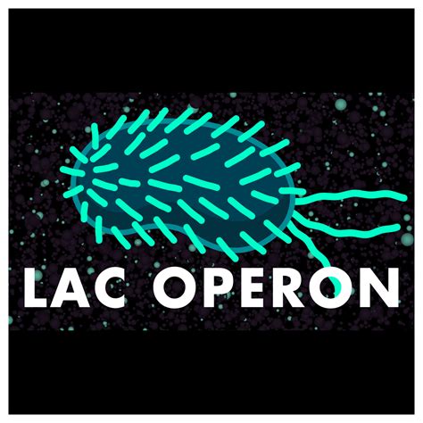 lac OPERON