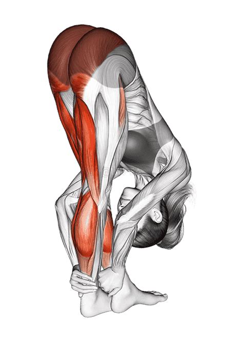 Image result for Toe Touch Hamstring Stretch