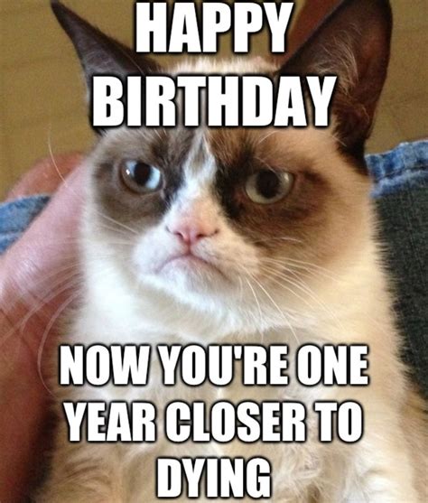 Image result for Grumpy Cat Angry