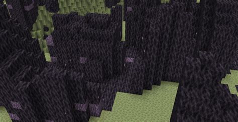 Image result for Endless Minecraft Blocks
