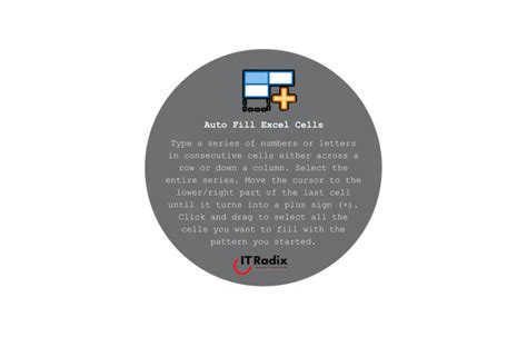 Image result for How to Auto Fill Excel