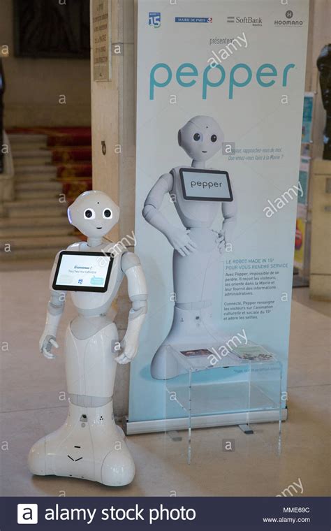 Image result for Pepper Robot Object