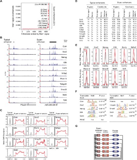 Image result for Super Repressor Enhancer