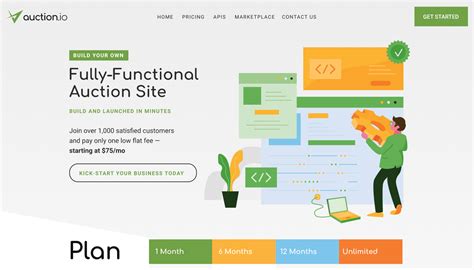 Image result for Auction Software Review