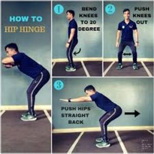 Image result for Hinge Exercise Variations