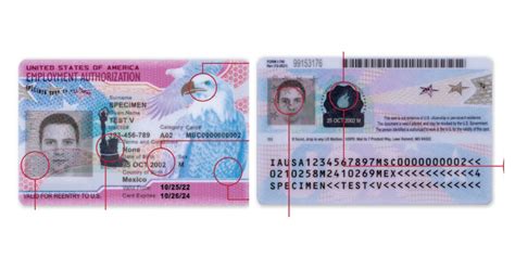 Image result for Work Permit Card Front and Back