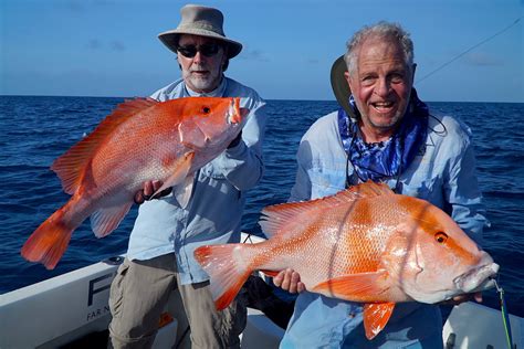 Image result for Reef Fishing Tips