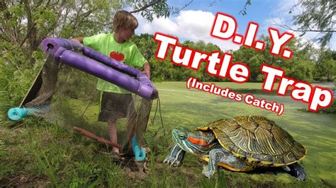 Image result for How to Build a Turtle Trap