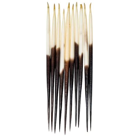 Image result for Using Porky Quills