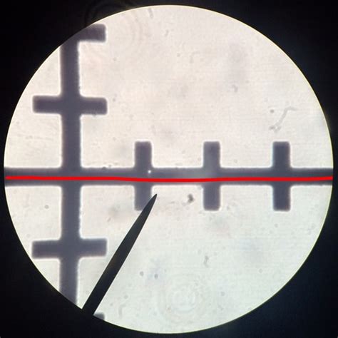 Image result for Field of View Magnification