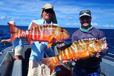 Image result for Reef Fishing Tips