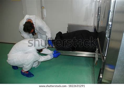 Image result for Watch a Human Embalming