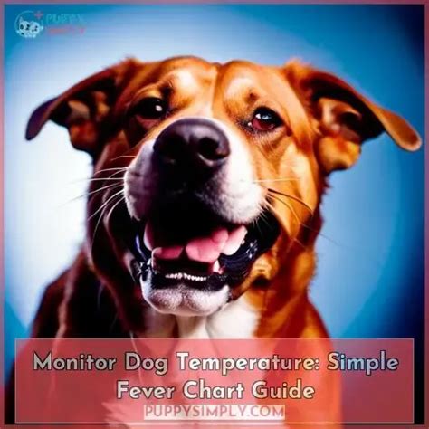 Image result for Dog Temperature Normal