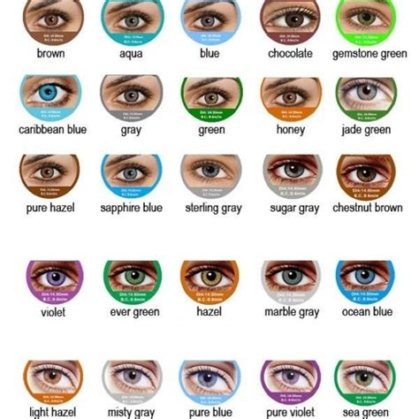 Image result for Eye Color Check