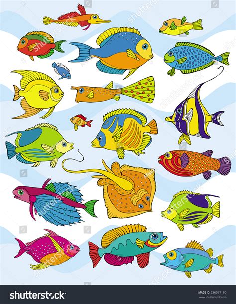 Image result for Color Cast Fish