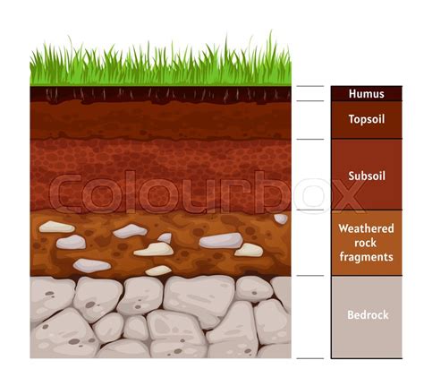 Image result for Humus Soil Layer