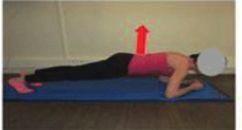 Image result for Trunk Bender Exercise