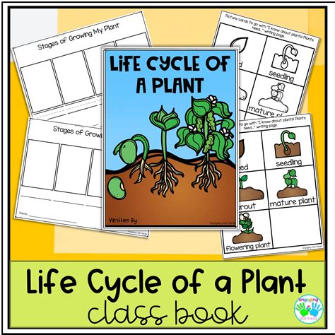 Image result for Class Four Spring Book