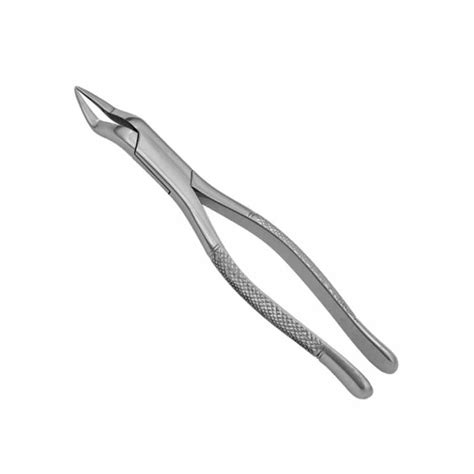 Image result for Extraction Forceps