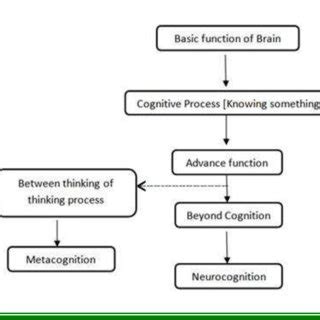 Image result for Cognitive Process