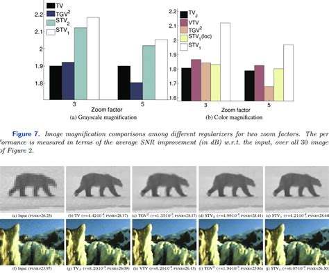 Image result for Magnification Minimization Examples