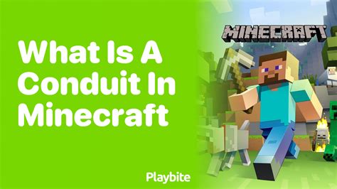 Image result for Minecraft Conduit Real