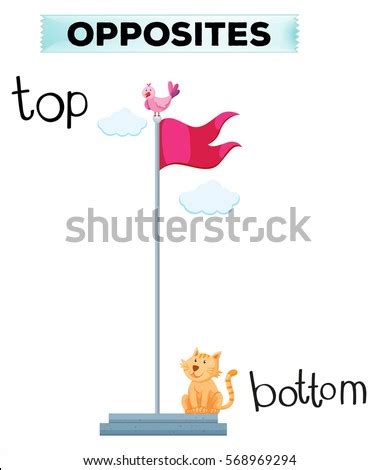 Image result for Top and Bottom Clause