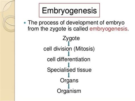 Image result for Reproduction Chapter Class 10