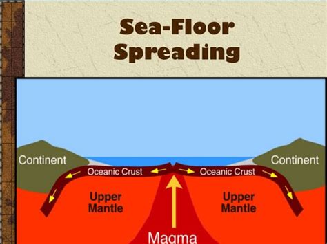 Image result for Sea Spread Activity Using Paper