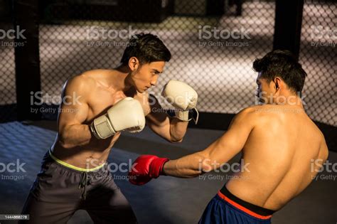 Image result for Boxing in Pool