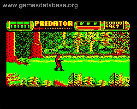 Image result for Predator Play