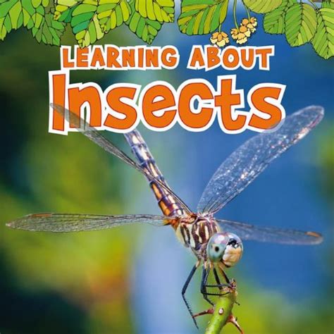 Image result for Insect Read Book