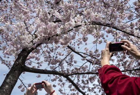 Image result for Spring First Movement