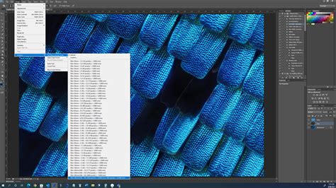 Image result for Affinity Drawing Scale Image