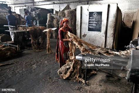 Image result for Jute Processing