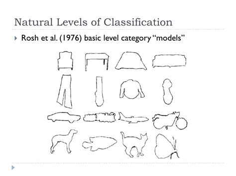 Image result for Basic Level Categorization