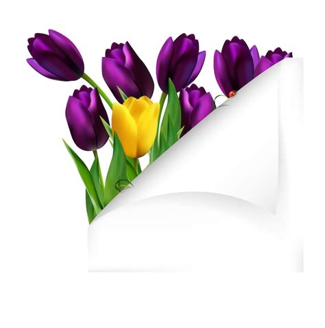 Image result for Folded Paper Spring