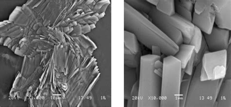 Image result for Humic Acid Sem