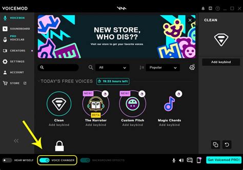 Image result for Voice Mod FN