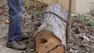 Image result for How to Split a Log