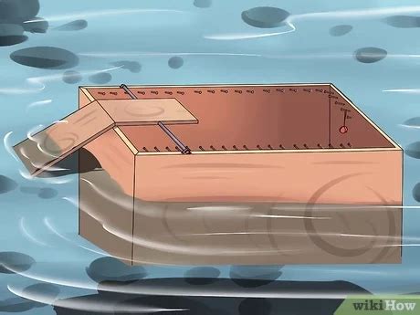 Image result for How to Build a Turtle Trap