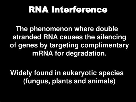 Image result for RNA Interference